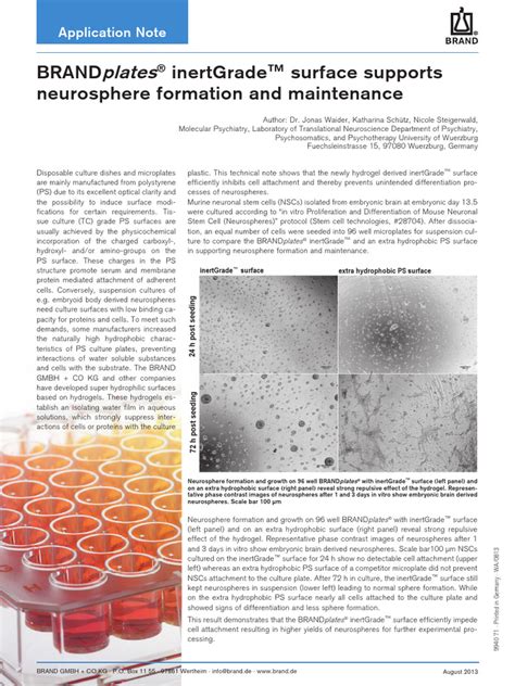 Inert Grade Pdf Cellular Differentiation Stem Cell