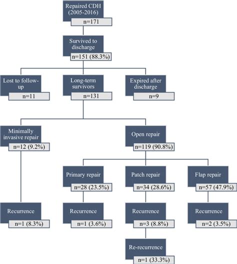 Selection Algorithm With Study Population Numbers Download Scientific Diagram