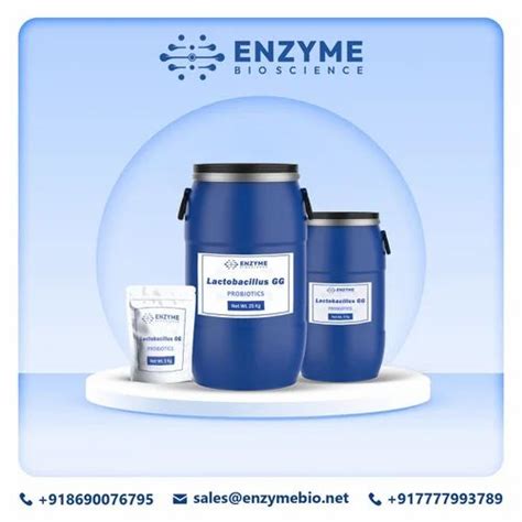 Lactobacillus Rhamnosus Gg At ₹ 700kg Digestive System Api Powder In
