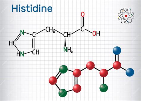 Histidine L Histidine Molécule Dacide Aminé His H Modèle De Molécule