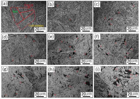 Hierarchical Microstructures In Custom 465 Steel Aged At A C 480 °c