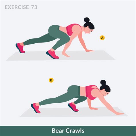 Bear Crawls Exercise Woman Workout Fitness Aerobic And Exercises 10978236 Vector Art At Vecteezy