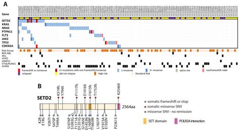 Mutations In Epigenetic Regulators Including Setd2 Are Gained During
