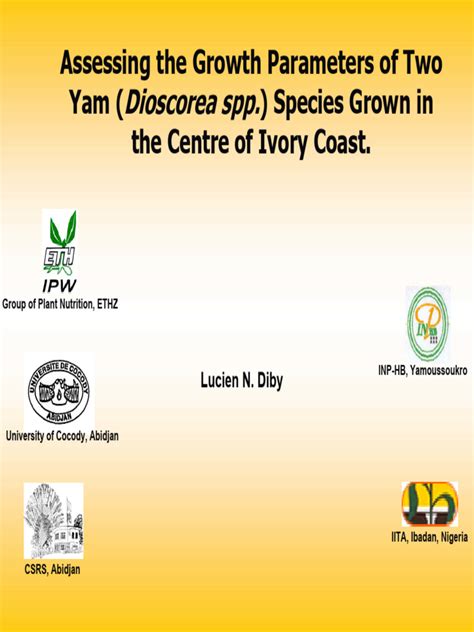 Diby Presentation Pdf