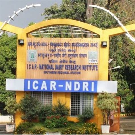 Agikgqohjvczws9wn3dxecglu11hgqqejz Lriqg8mbi S900 C K C0x00ffffff No Rj