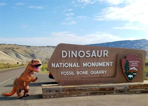 13 Places To See Dinosaur Fossils In The U S