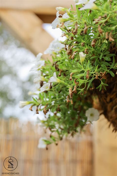 3x Zo Creëer Je Zelf Een Groene én Onderhoudsarme Tuin — Sevencouches