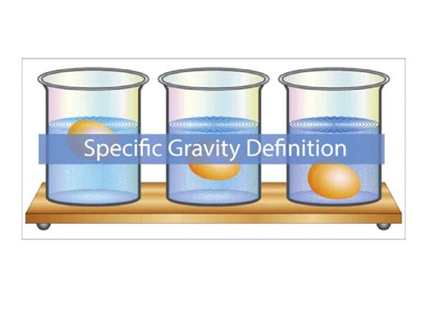 How To Use Specific Gravity Testers For Accurate Measurement
