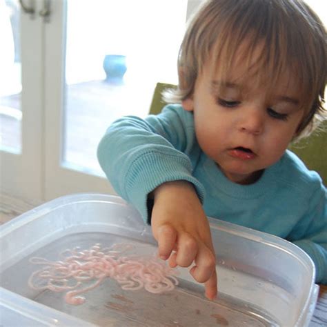 Float And Sink Creative Chemistry Stem Clearinghouse