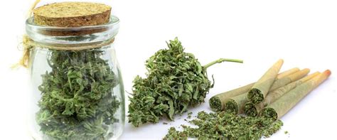 When To Stop Burping Curing Jars For Perfect Cannabis Flavor