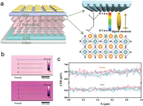 Polar Species For Termination Modification And Induced Variation In Download Scientific Diagram