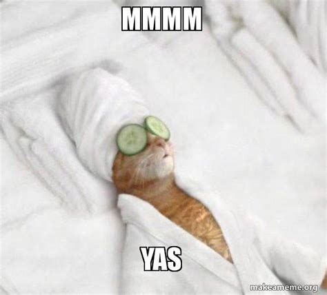 Yas Cat Meme
