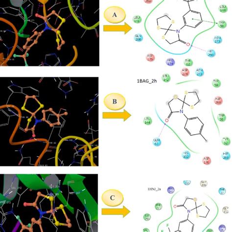 The Best Docking Poses The Non Covalent Hydrogen Bonding Interactions Download Scientific
