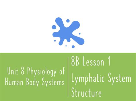 BTEC AppSci RQF 8B Lymphatic System L1 Lymphatic System Structure