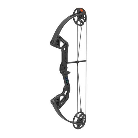 Cbk2 Starry 29 Lbs Compound Bow A Formidable Bow Model