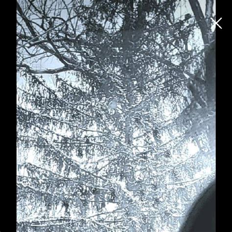 Todd Koons Student Indiana Wesleyan University Linkedin