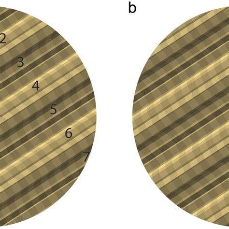 The Influence Of Prior Assumptions On Perception A Most Observers