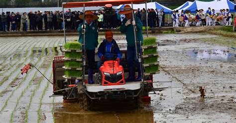 풍년 농사 준비하는 농심