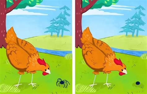 Visual Challenge If You Can Find The Difference Between The Two Images In Less Than 5 Seconds