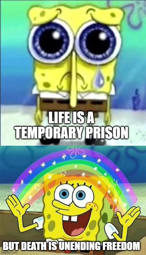 Spongebob Rainbow Meme