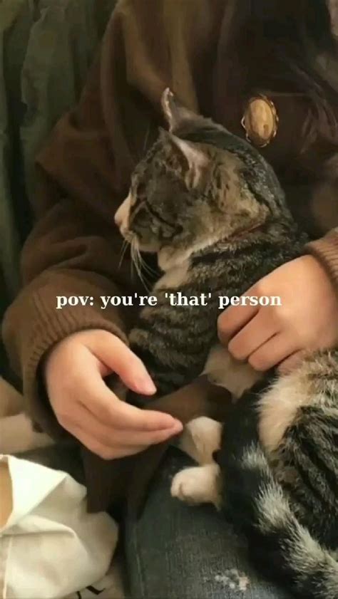 Pin By Abigail On Aesthetics Cryptidcore Aesthetic Book Nerd Cute