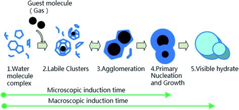 Schematic Diagram Of Gas Hydrate Formation³⁴ Download Scientific Diagram