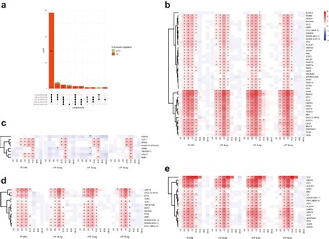 Next Generation Yellow Fever Vaccine Induces An Equivalent Immune And