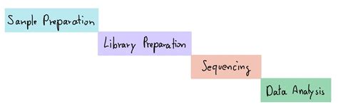 Dna Sequencing ฉบับคนทั่วไป อยู่ ตอน 3 Next Generation Sequencing Arnondora