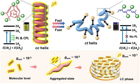Fast Visualized Conformational Transition Of Polyphenylacetylenes With Stepwise Tunable