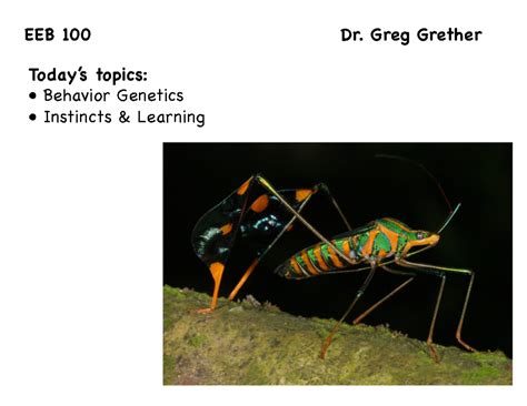 3 Behavior Genetics And Learning Eeb 100 Dr Greg Grether Todays Topics Behavior Genetics