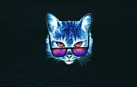 Neon Cat Wallpapers 4k Hd Backgrounds On Wallpaperbat