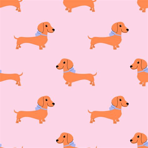 Cute Dachshunds Wallpaper
