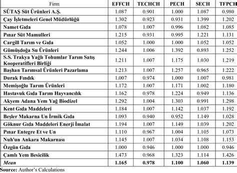 malmquist index analysis results in turkish food manufacturing industry