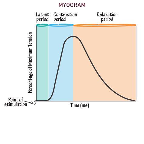 Physiology Glossary Motor Unit Ditki Medical And Biological Sciences
