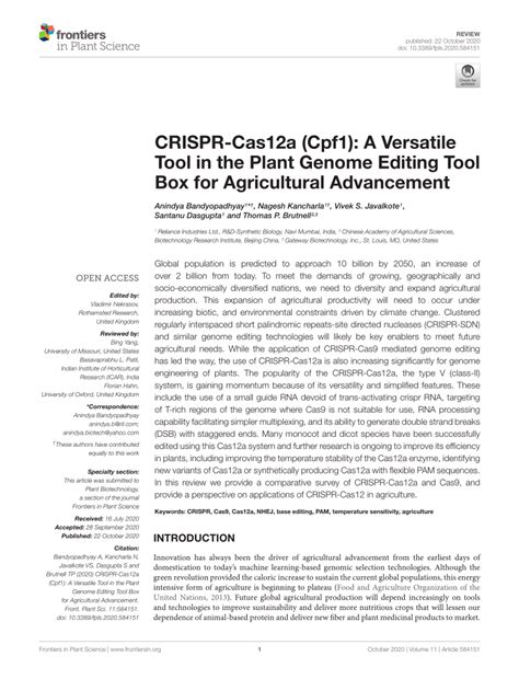 PDF CRISPR Cas A Cpf A Versatile Tool In The Plant Genome Editing Tool Box For