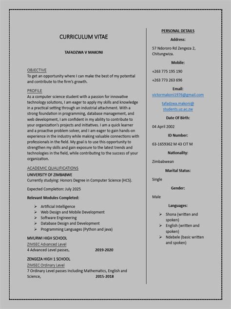 02 Curriculum Vitae Pdf Computer Programming Databases