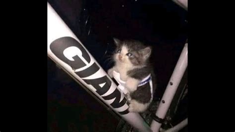 Cpsc 240 Lecture 3132024 Youtube