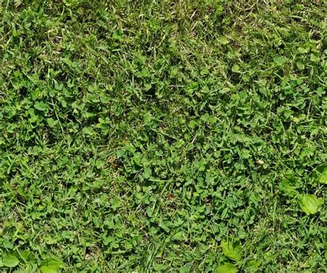 Artstation Grass Study Resources