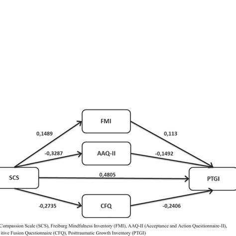 Structural Model With Hypothesized Links Between Self Compassion