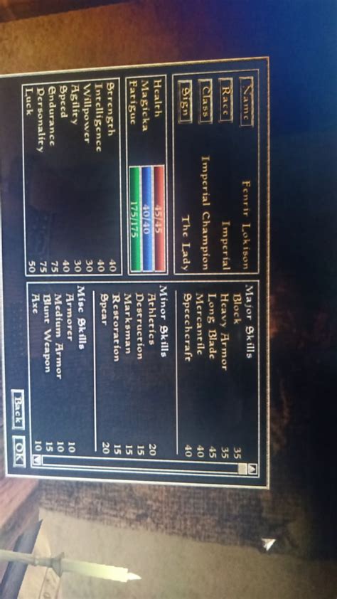So I Remade My Class What Do You Think Rmorrowind