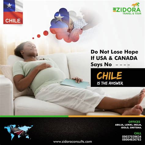 Chile Passport Best Alternative To Usa Canadas Daily Post Nigeria