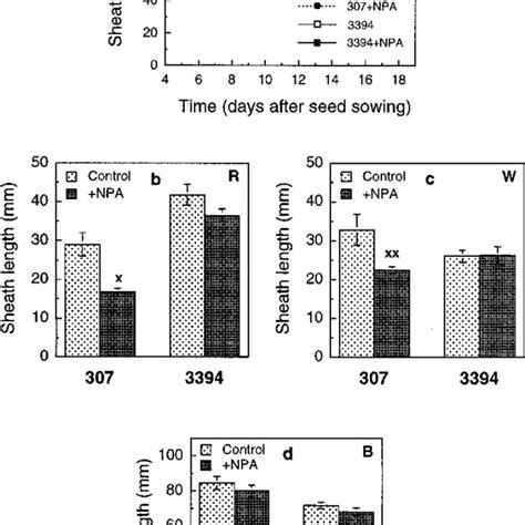 Diagram Showing Leaf Declination Angle And Auricle Length Measured In