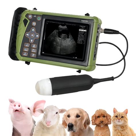 Hand Held Veterinary Ultrasound System S0 Vet Dawei Veterinary