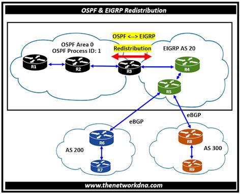 Introduction To Redistribution The Network DNA