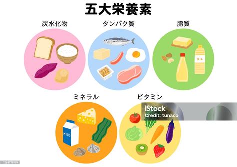 Ilustración De Cinco Macronutrientes Carbohidratos Proteínas Grasas