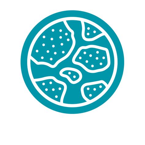 Ipsc Module Axion Biosystems