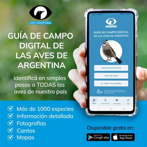 Llegó Esta App Para Ayudarnos A Identificar Las Aves Del Territorio Sofía Del Pilar Miguez