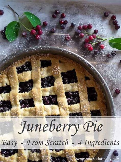 Homemade Juneberry Pie Recipe