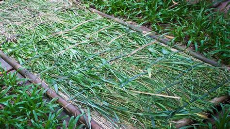 Home Made Booby Traps 7 Non Lethal Traps To Set For Home Invaders