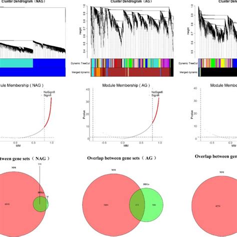 Gene Expression Features And Core Gene Mining In Gc Tissues A Degs